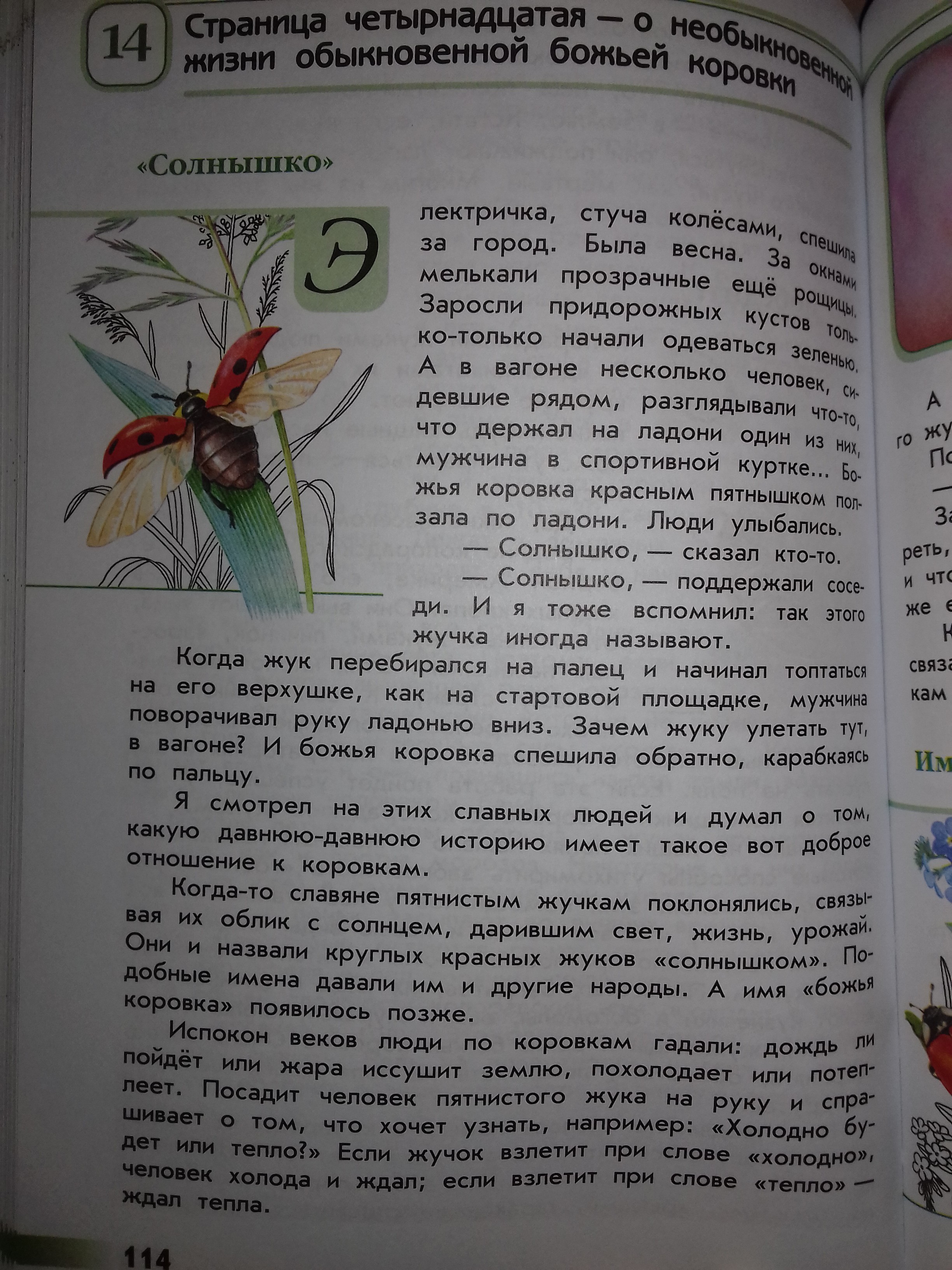Рассказ "Солнышко" из книги "Зелёные страницы"? - Окружающий мир
