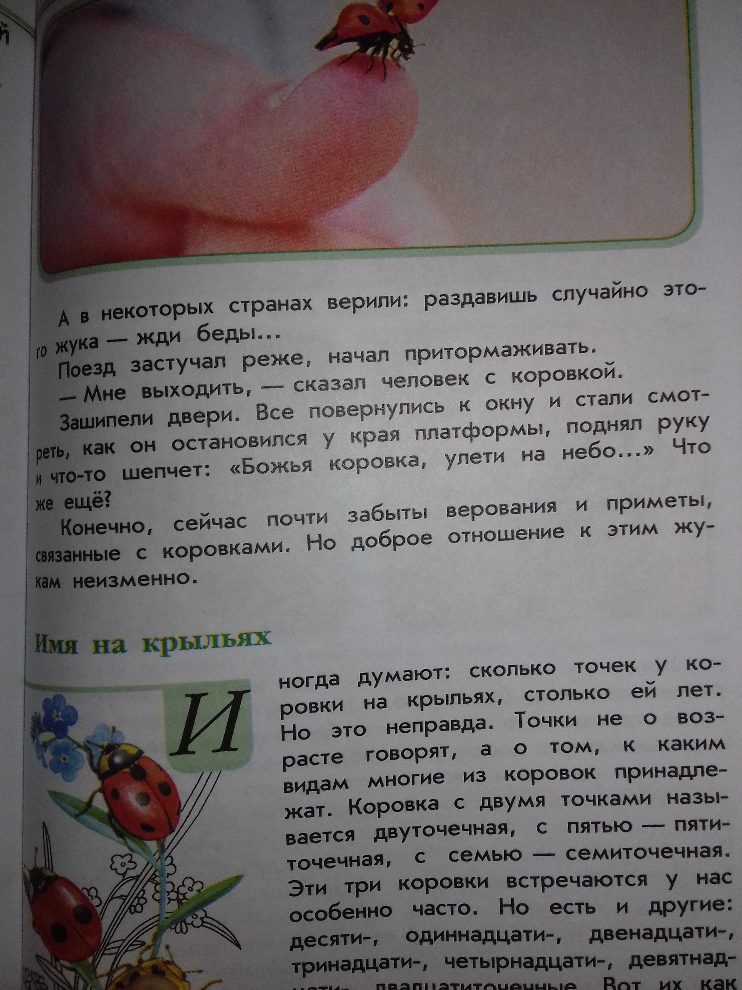 Рассказ "Солнышко" из книги "Зелёные страницы"? - Окружающий мир